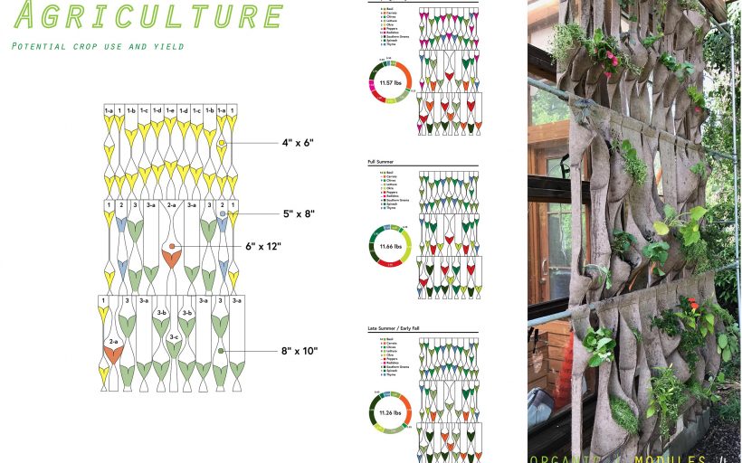 Organic Modules: Modular Wallscapes for Shade and Food - WDCD Climate ...