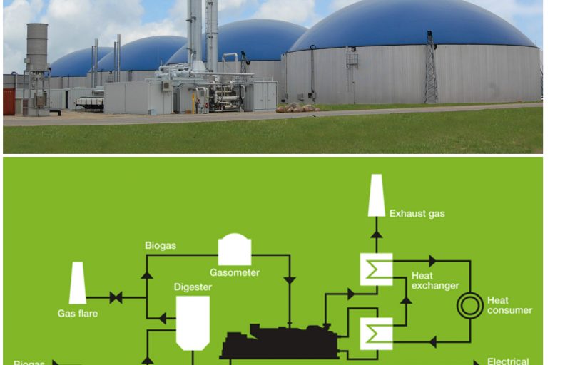 Biogas Community Kitchen And Food Chain - WDCD Climate Challenge